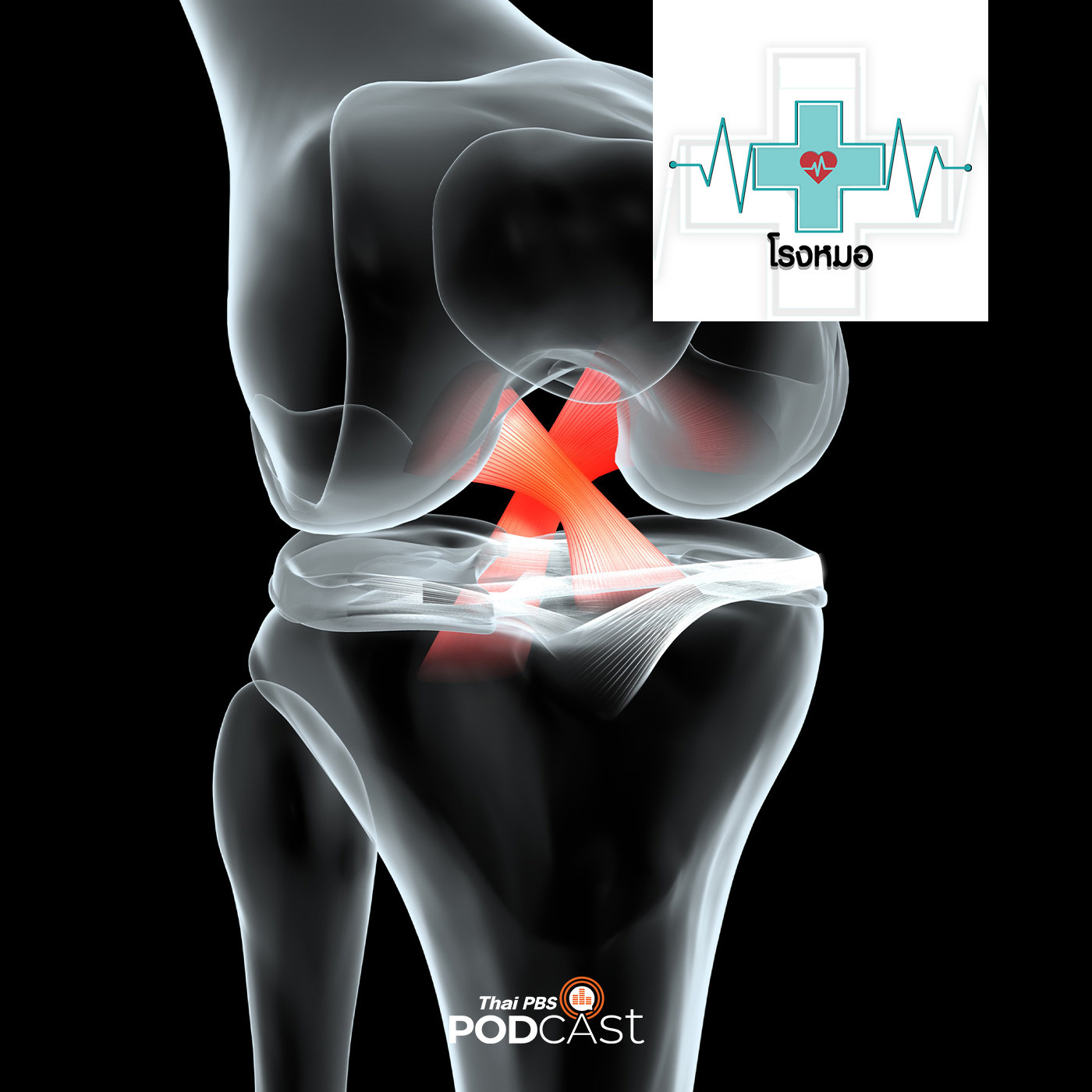 Thai PBS Podcast | อีกหนึ่งบริการข่าวสาร สาระ เพื่อสาธารณะและสังคม กับ ...